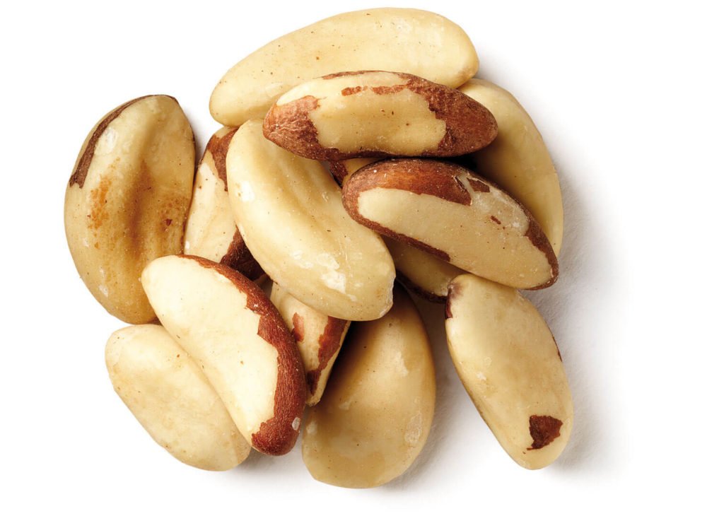 Unveiling Nature's Nutrient Powerhouse: A Comprehensive Guide to Brazil ...